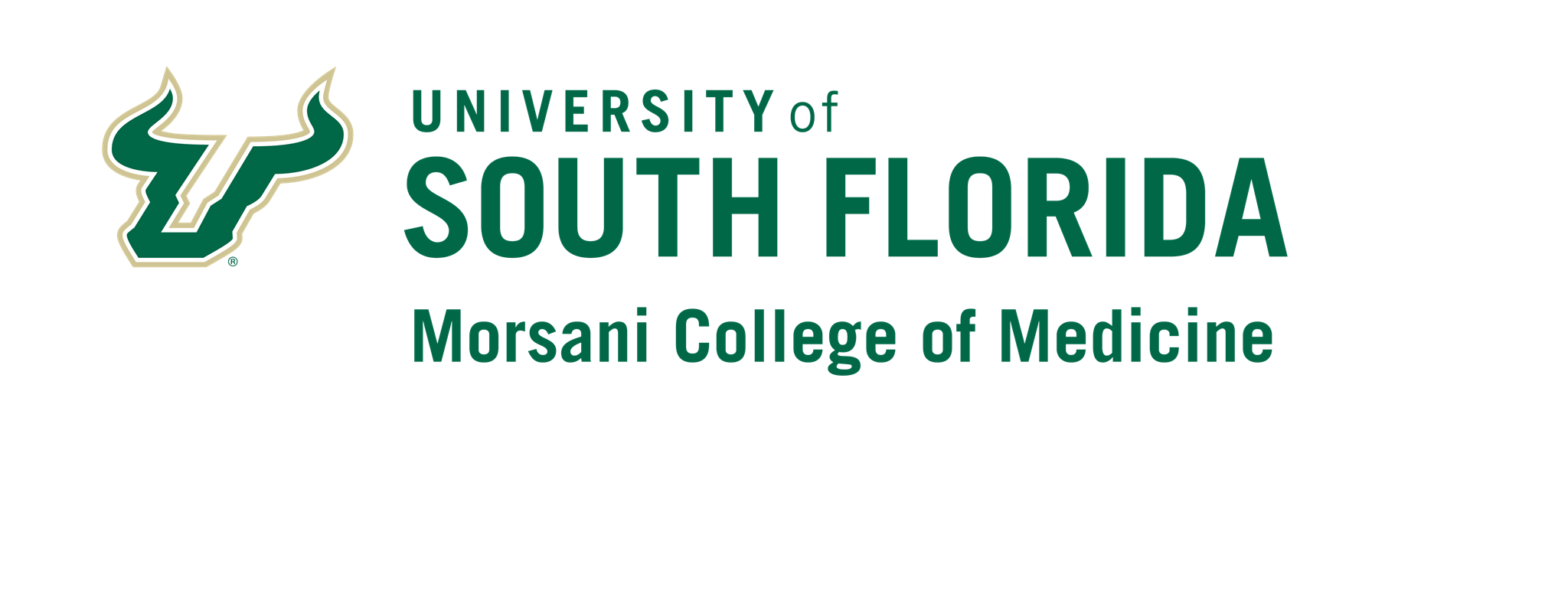 USF GI Fellowship Virtual Experience